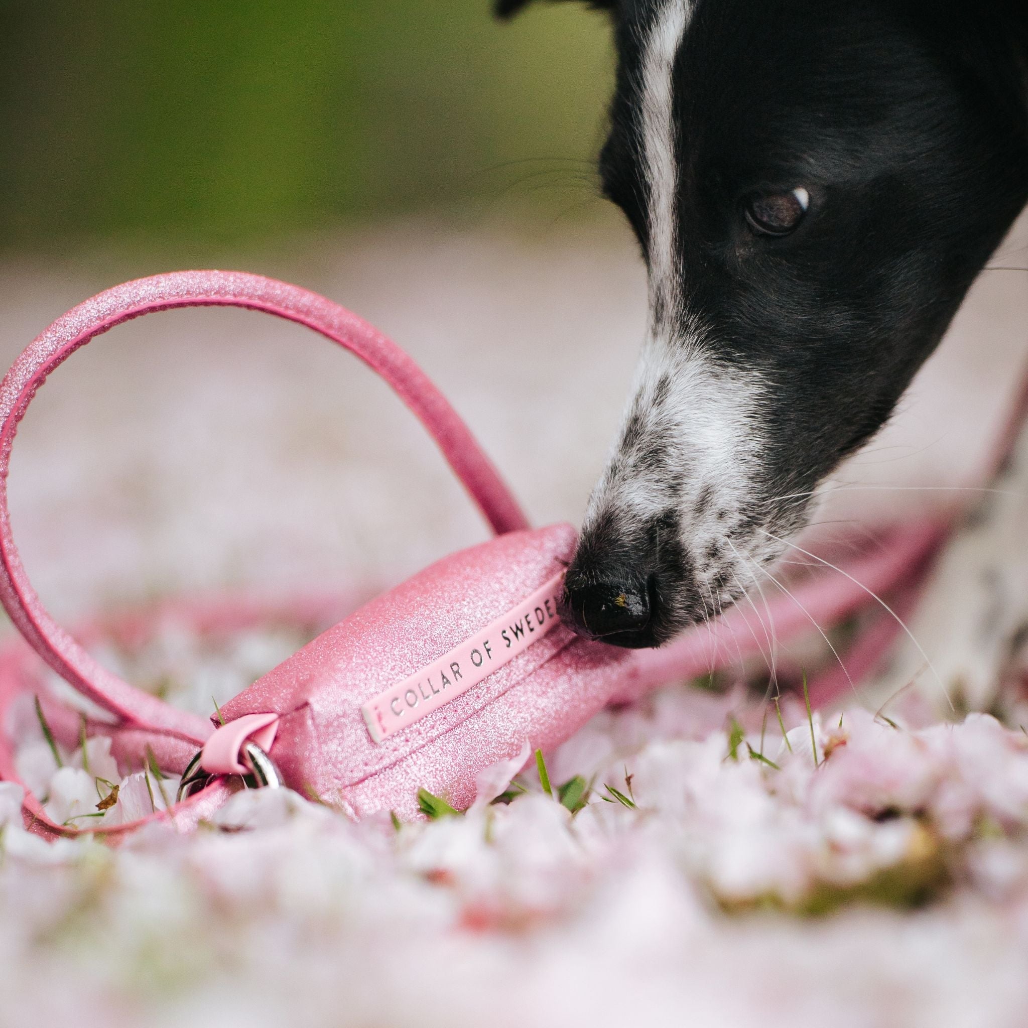 Uchwyty na woreczki na psie odchody – Stylowy design – Collar of Sweden